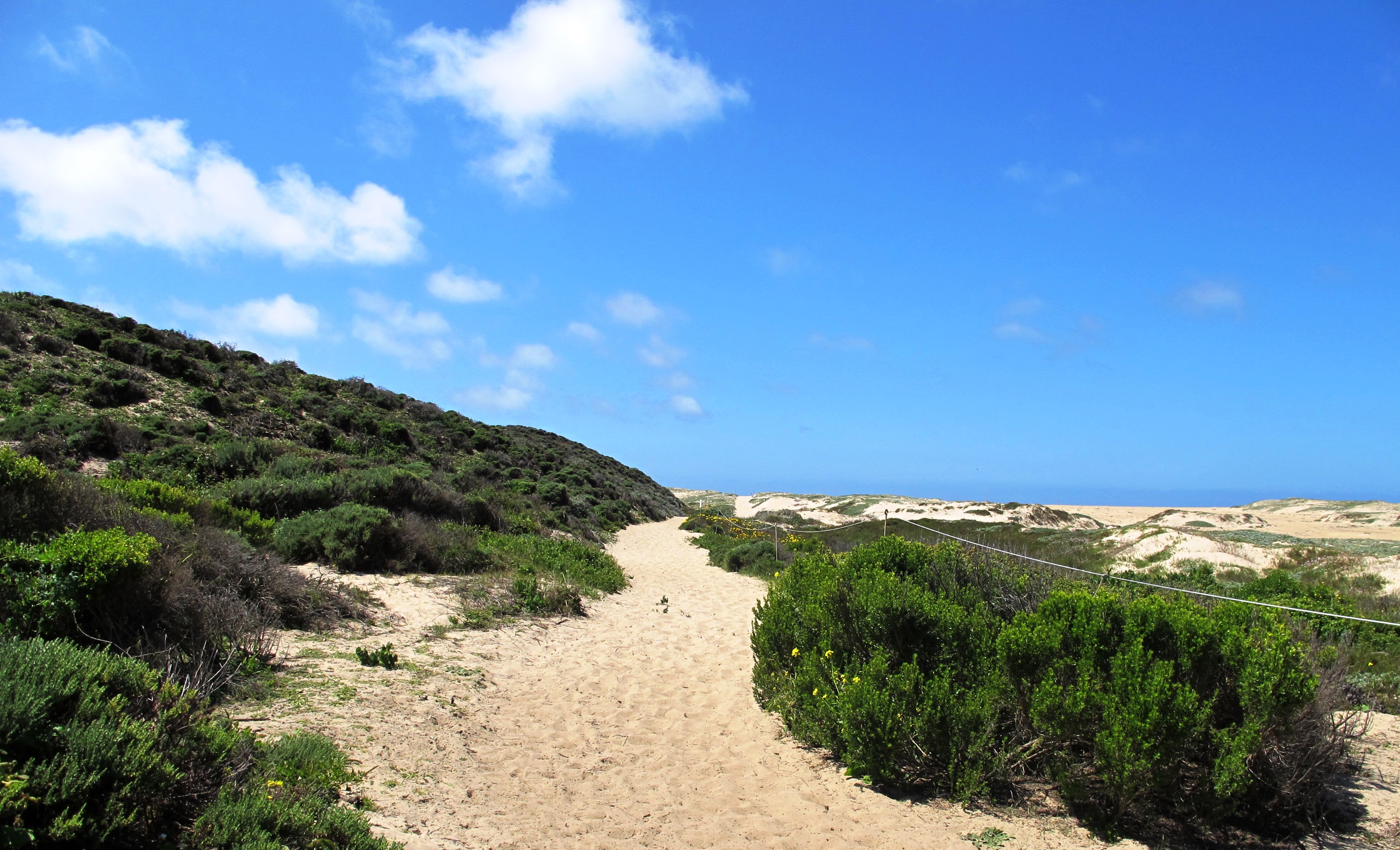 Salinas River NWR beach trail.jpg | FWS.gov